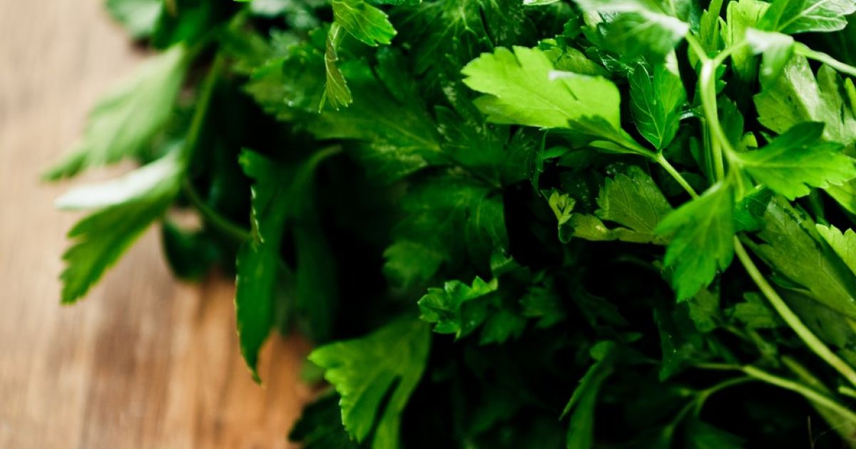 Come conservare il prezzemolo | Buona La Vita